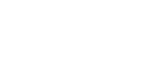 What is Vitamin String Quartet? About VSQ Classical Crossover