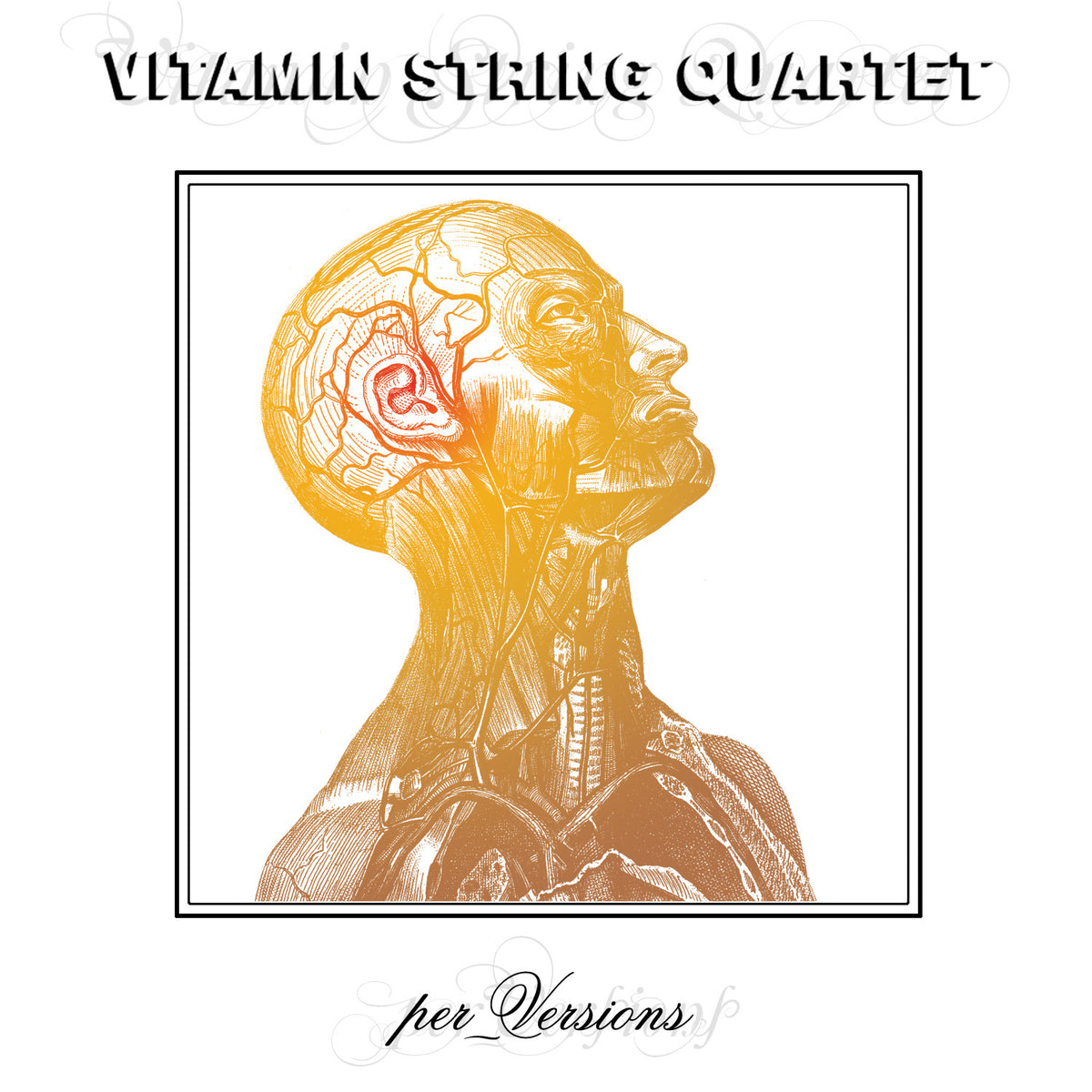 vitamin string quartet on